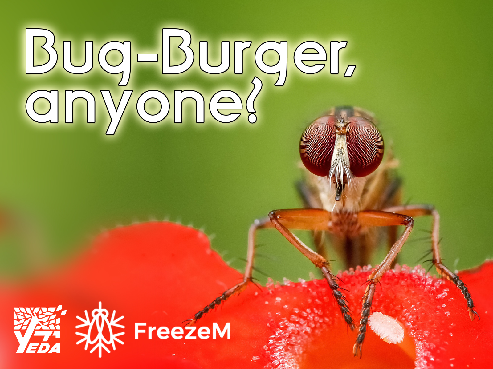 Protein comes in many shapes and forms, from meat and dairy to beans ...